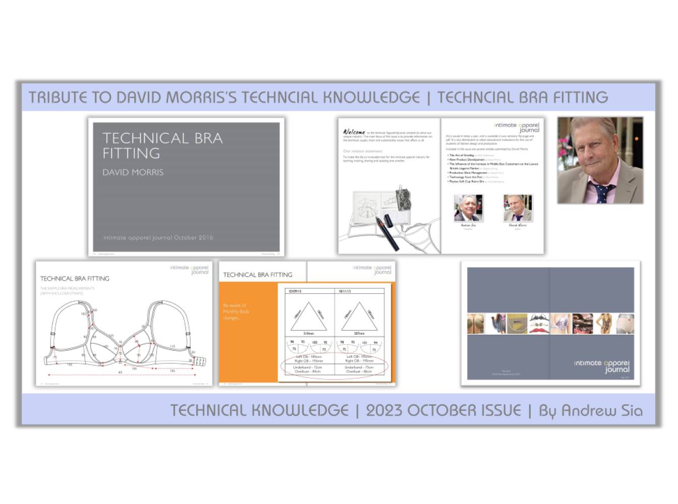 DAVID MORRIS’S TECHNCIAL KNOWLEDGE | TECHNICAL BRA FITTING ...